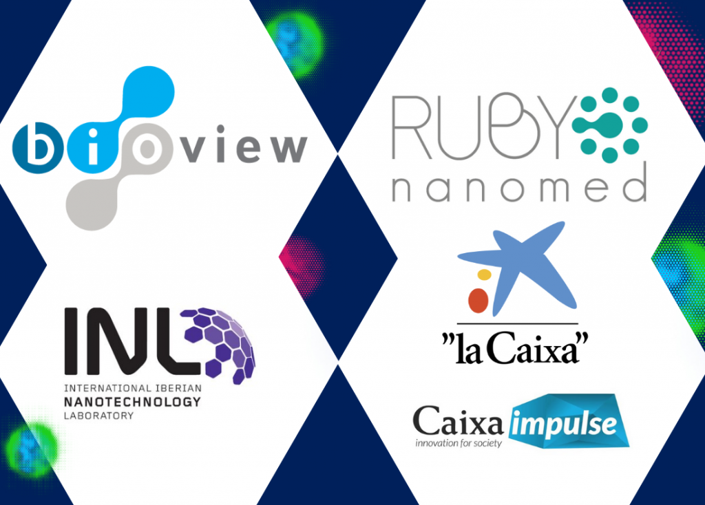 BioView and INL spin-off RUBYnanomed start collaboration to improve ...